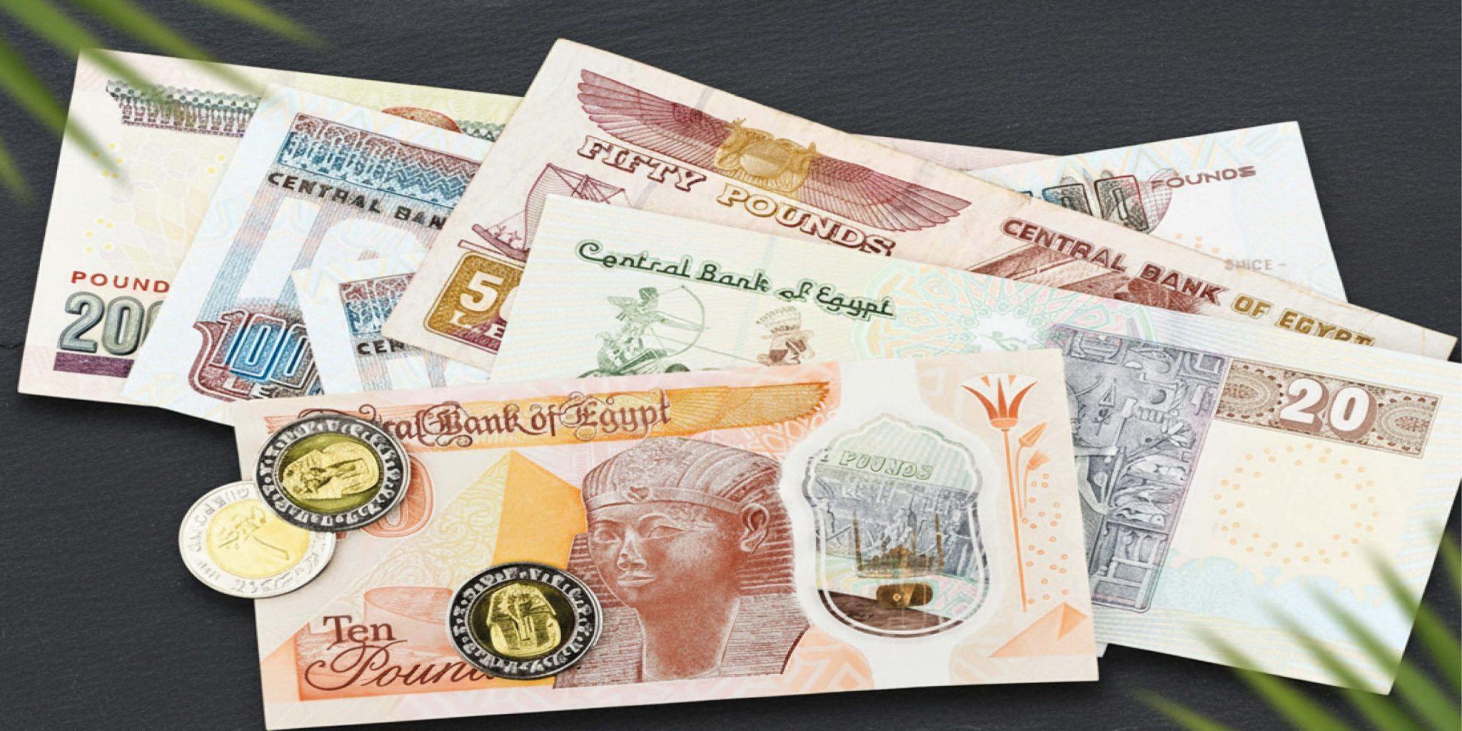 Money in Egypt 2026 – Currency, Payments, and Tipping Guide - MSM ...